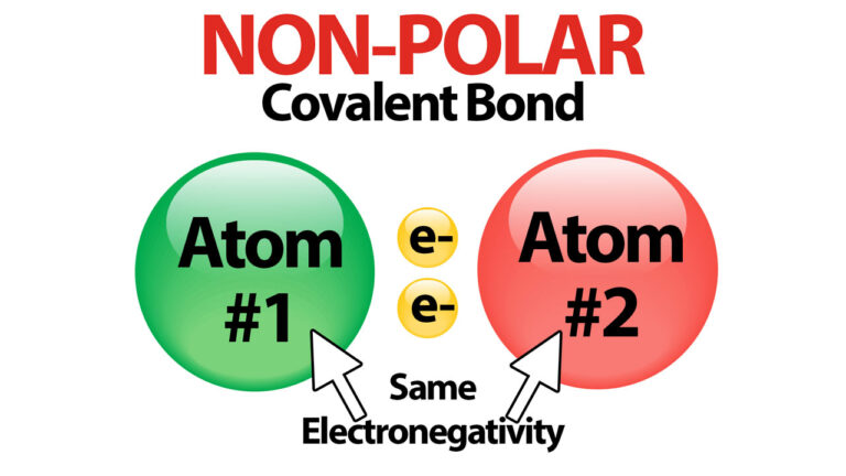 Polar Covalent Bonds - Clearly Explained for Easy Learning