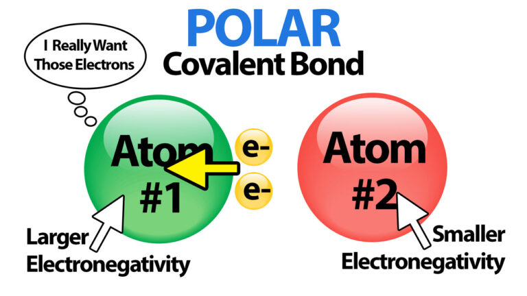 Polar Covalent Bonds - Clearly Explained for Easy Learning