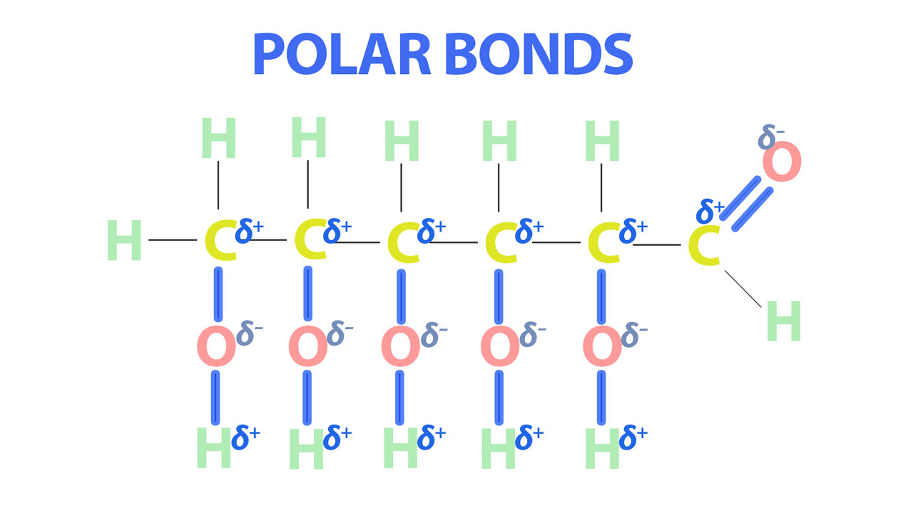 Polar Covalent Bonds - Clearly Explained for Easy Learning