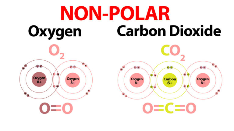 Polar Covalent Bonds - Clearly Explained for Easy Learning