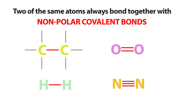 Polar Covalent Bonds - Clearly Explained for Easy Learning