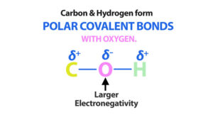 Polar Covalent Bonds - Clearly Explained for Easy Learning